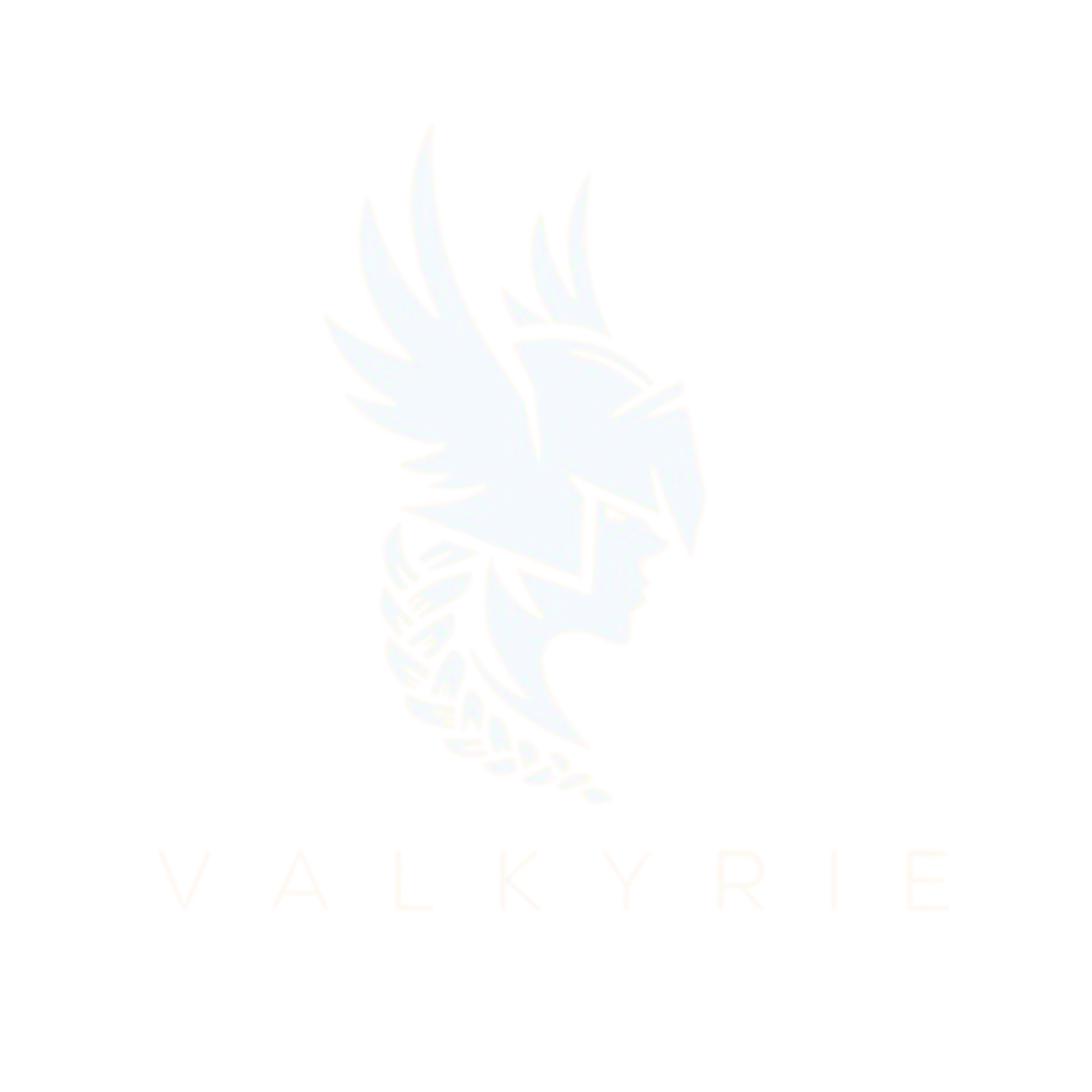 The Valkyrie – Lift-Run-Bang
